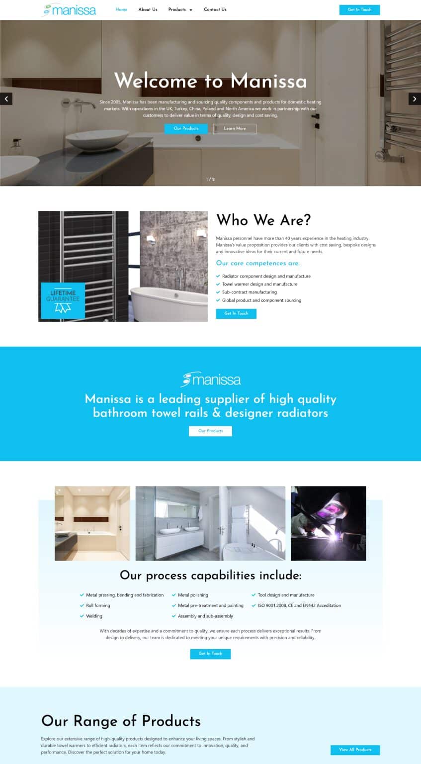 Professional Website Design That Performs | Elegant Web